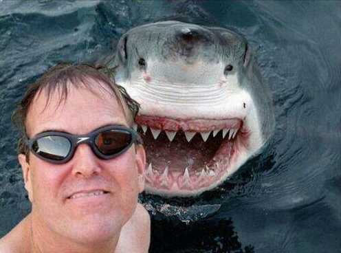 Shark Selfie | Funny Photos | Selfie Fail Club